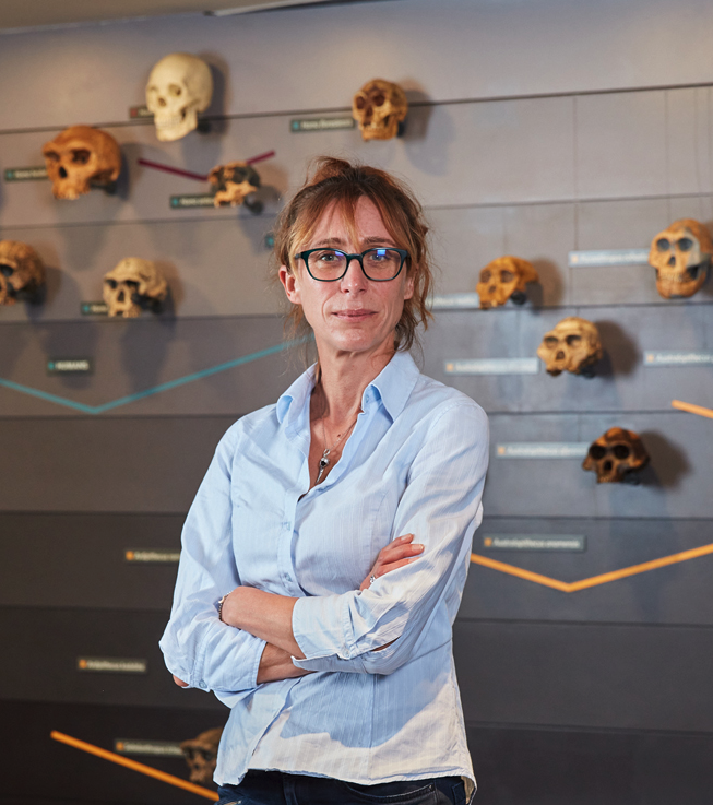 Dr Selina Brace The Human Environment Dynamics Laboratory